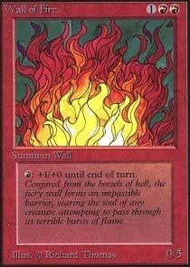 Magic The Gathering - Wall of Fire - Collectors Edition : Amazon.ca ...