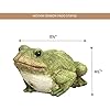 Amazon.com: Bits and Pieces - Frog Motion Sensor and Detector Statue ...