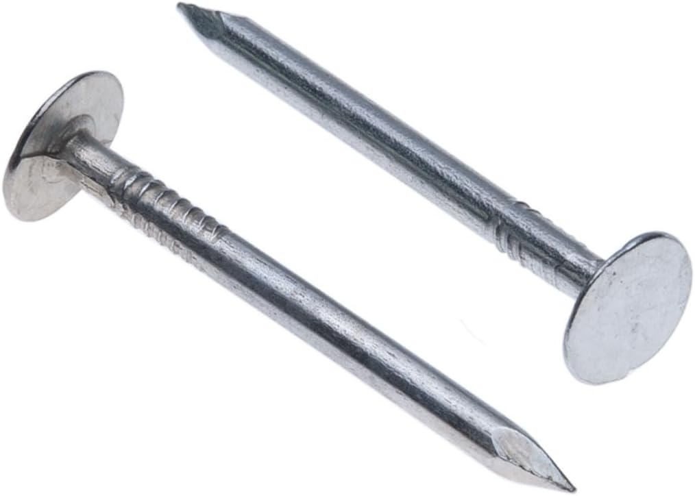 Zinc Plated Large Flat Head Nail (Pack of 100 Pieces) Long Galvanised Nails for DIY, Home ...