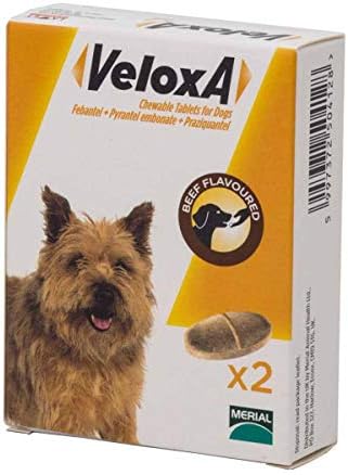 Veloxa Chewable Dog Wormer, 4 Tablets : Amazon.co.uk: Pet Supplies
