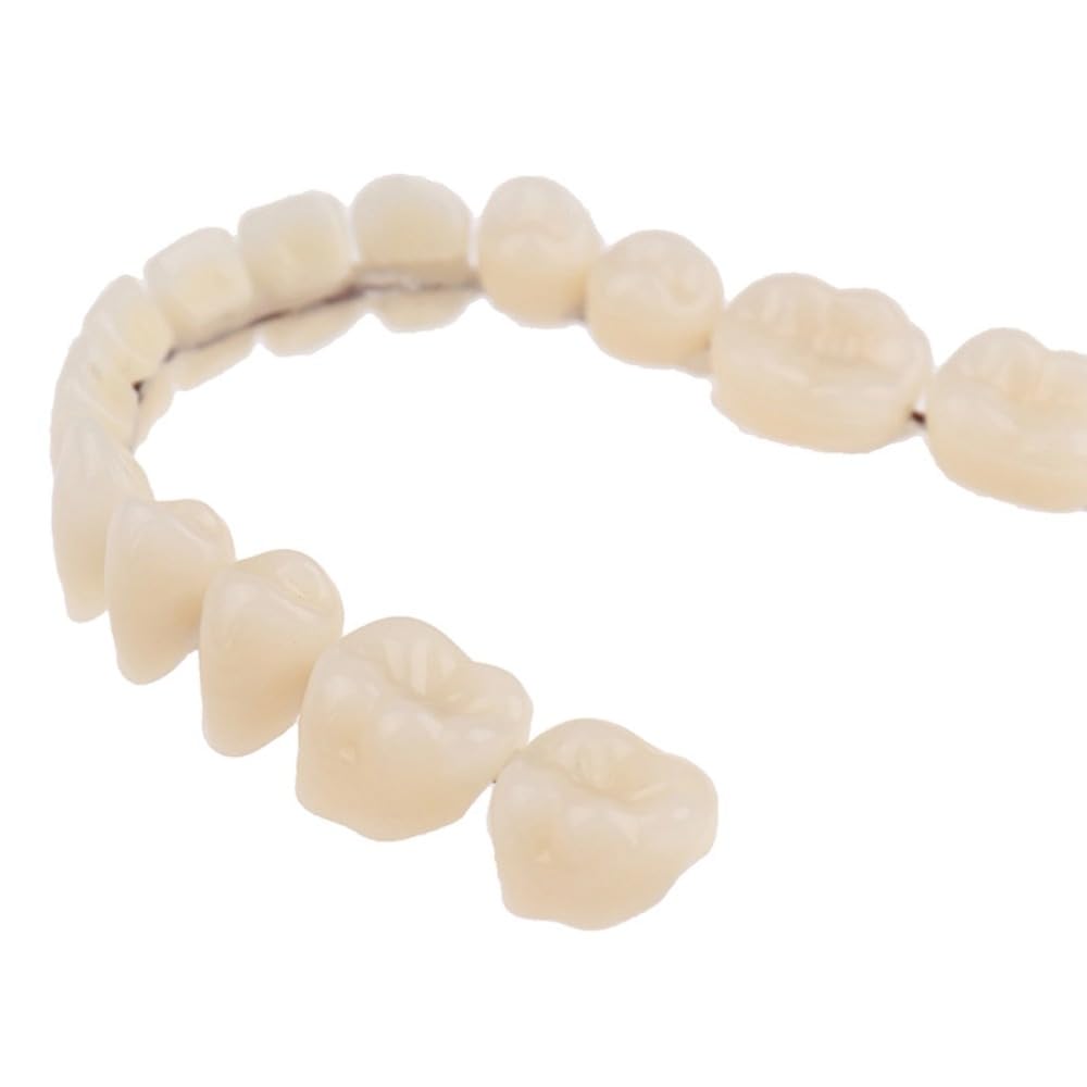 Amazon | Itisyou 義歯 歯科用レジン 付け歯 歯の修復 入れ歯 義歯 歯科用サプライアクセサリー不良歯、欠損歯を修復します | Itisyou | 入れ歯ケア用品 通販