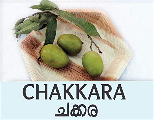 M-Tech Gardens Rare Mango Fruit 1 Grafted Live Plant - Variety ...