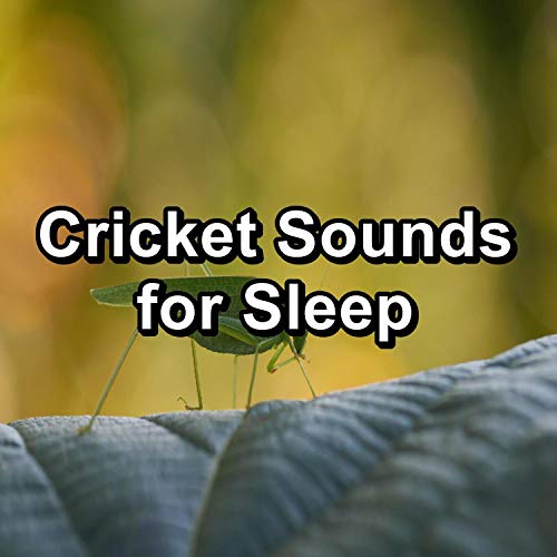 Amazon MusicでSleep Crickets, Cricket Sounds & Nature NoiseのCricket ...