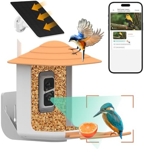Amazon.com : Smart Bird Feeder with Camera, AI Identify Bird Species ...