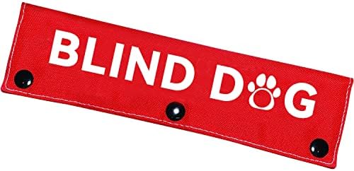 Amazon.com : Advivio I'm a Little Anxious Red Dog Leash Sleeve, Wrap ...