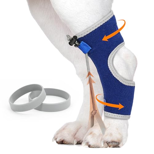 Knuckling In Dogs – The 15 best products compared - Wild Explained
