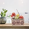 Retro Plant Pot - Retro Radio-Shaped Flower Pot - Cactus Bonsai Planter ...