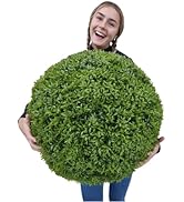 Amazon.com - 365 Curb Appeal Set of 2 Large Topiary Balls (Better Than ...