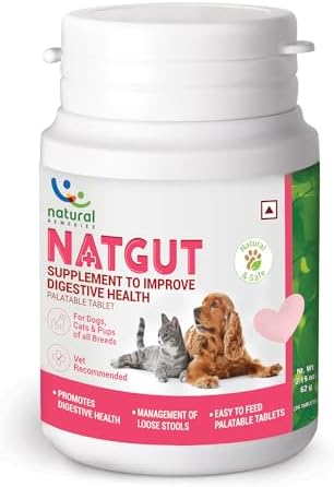 Natural Remedies Natgut Supplement to Improve Digestive Health, Real ...