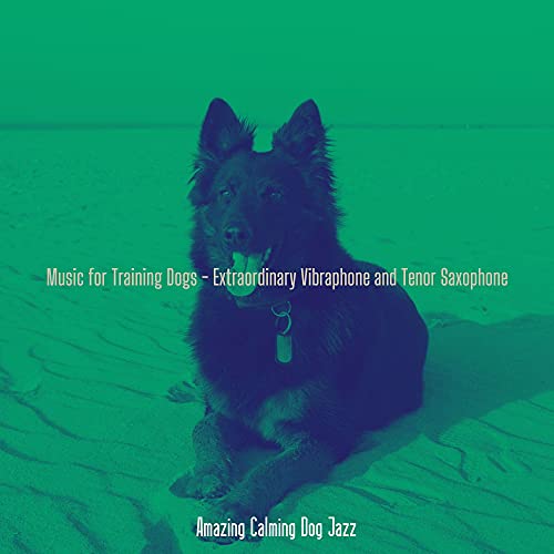 Music for Training Dogs - Extraordinary Vibraphone and Tenor Saxophone ...