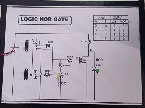 Buy Vigyanics Logic NOR Gate Working Model - Physics Class 12 Science ...