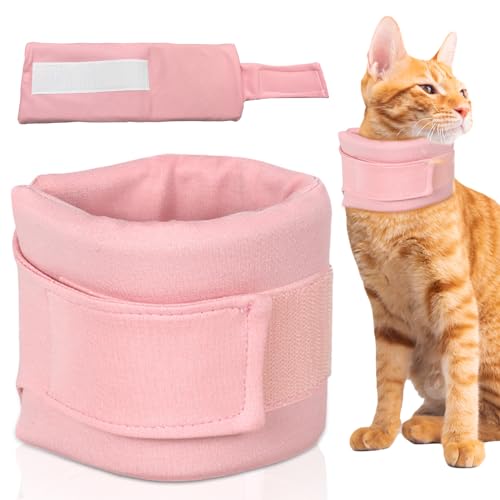 Dog Neck Brace – The 15 best products compared - Wild Explained