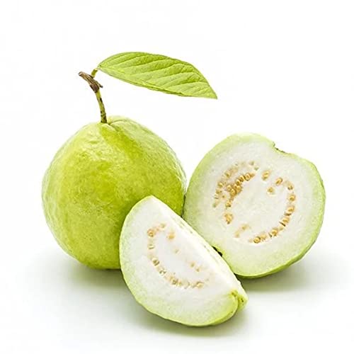 Lemon Guava - How to grow & care