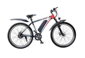 NEELAM | Unisex Aluminium Electric Cycle Electric All-Mountain Bicycle ...