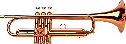 15 Best Professional Trumpet Reviews 2022 – Expert’s Trumpet Choice - CMUSE