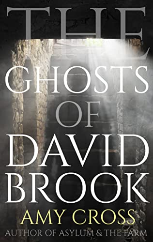 Amazon.com: The Ghosts of David Brook (The Ghost Story Collection ...