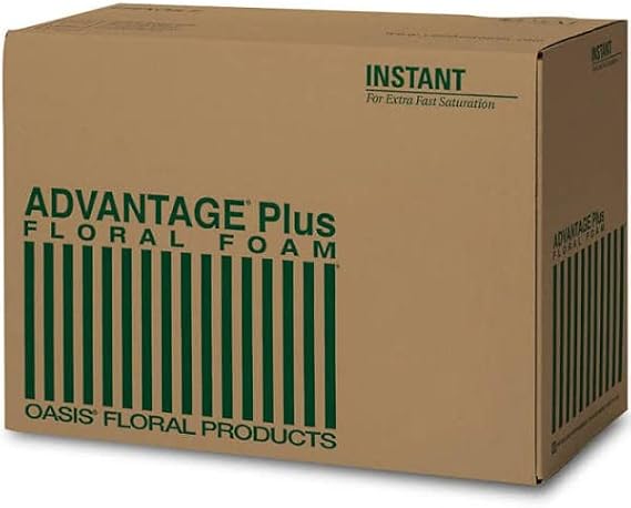 Amazon.com: smither oasis Oasis Advantage Plus Floral Foam Blocks, Bulk ...