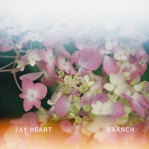 Branch by Jay Heart on Amazon Music - Amazon.co.uk