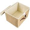 Amazon.com - Lucky Monet Storage Bins Boxes with Lids 2 Pack Decorative ...