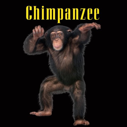 Play Chimpanzee by Chimpanzee Sounds on Amazon Music Unlimited