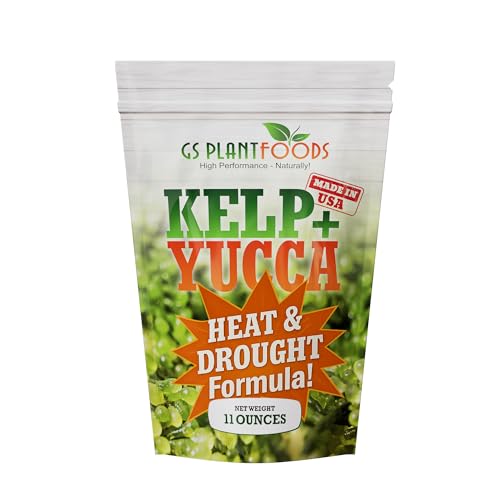 Best Yucca Extract Plant Fertilizer Options for Gardeners – Hayes Homestead