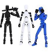 Aonuily Titan 13 Action Figure, 3Pcs T13 Figure 3D Printed Lucky 13 ...