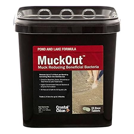 Amazon.com : Pond Logic Muck Defense Tablets, 12 ct. : Pond Water ...