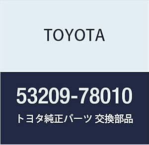 Amazon.com: Genuine Toyota Parts - Brace Sub-Assy, Rad (53209-78010 ...