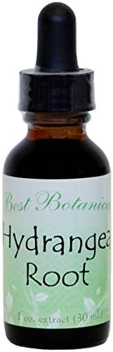 Amazon.com: Best Botanicals Hydrangea Root Extract 1 oz. : Health ...