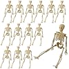 Amazon.com: GXXMEI 12PCS 6 Inch Mini Skeleton Figurines, Small ...