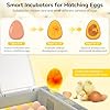Amazon.com: 36-60 Egg Incubator with Automatic Egg Turning and Humidity Control, 360° View ...