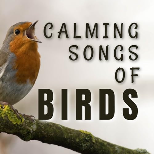 Sleepy Bird Song song by Brianna Birds, Sleep Sounds of Nature & Calm ...