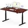 Amazon.com: FLEXISPOT E6 Pro Oval Leg Dual Motor 3 Stages Standing Desk ...