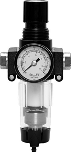 Ross Controls 5D02C0210 Bantam Series Integrated Filter/Regulator ...