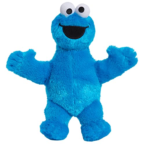 Sesame Street Cookie Monster Small Soft Toy 23cm – BigaMart