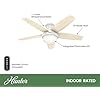Amazon.com: Hunter Fan 48 inch Low Profile Fresh White Indoor Ceiling ...