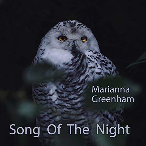 Song Of The Night (feat. Jill Cooper, Mike Hyder, Belinda Leonard ...