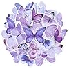 Amazon.com: Imeepa Transparent Stickers 40Pcs Purple Butterfly Stickers ...