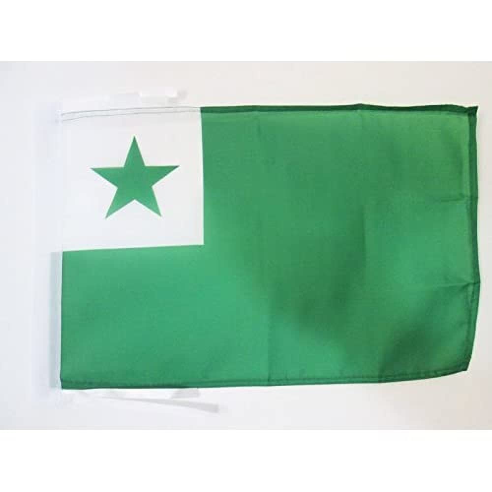 Amazon.com : Esperanto Flag 18'' x 12'' cords - international auxiliary language SMALL flags 30 ...
