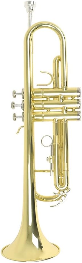 Amazon.com: Bb Standard Trumpet Set, Brass Adults Play Western Wind ...