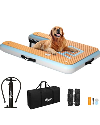 Top 10 Dog Ramp For Pool of 2022 - Katynel