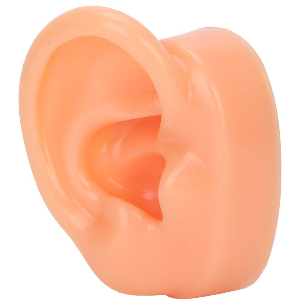 Buy Human Ear Model, Authentic Modeling Practical Silicone Ear Model ...