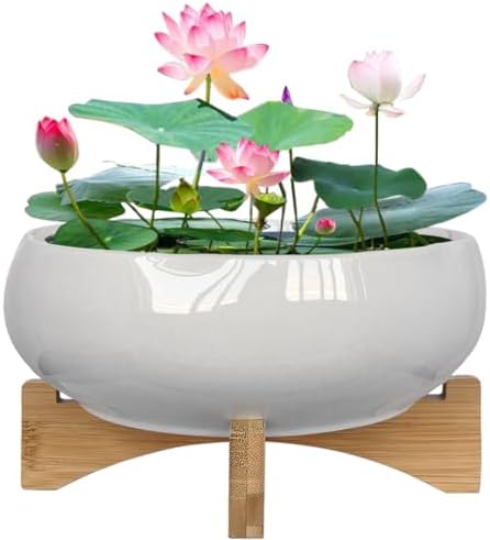 Amazon.com : Abaodam Lotus Bowl Planter with Stand Ceramic Planter Pot ...