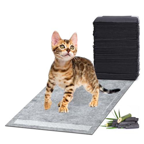 Cat Pee Pads – The 15 best products compared - Wild Explained