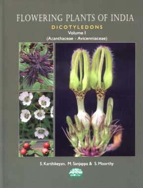 Flowering Plants of India : Dicotyledons,Vol. I. Acanthaceae ...