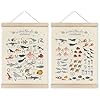 Amazon.com: HRQKO Ocean Alphabet Poster Hanger Frame Set of 2, Ocean ...