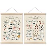 Amazon.com - HRQKO Alphabet Numbers Poster Hanger Frame Set of 2 ...