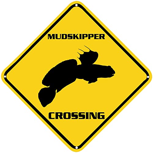 10 Best Mudskipper Gear: The Ultimate Buying Guide for Fish Lovers ...