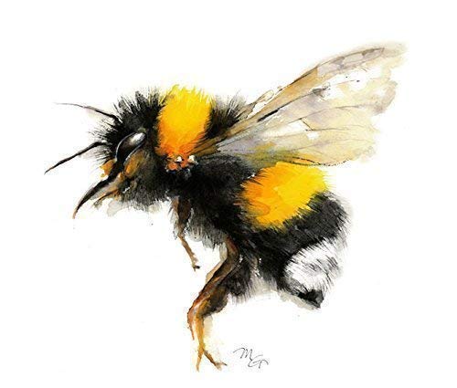 Amazon.com: Bumblebee Watercolor Artwork Print : Handmade Products