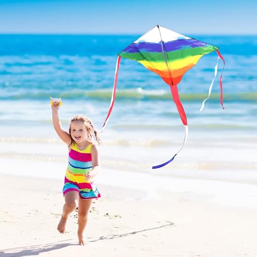 10 Best Kites for Beginners to Soar High in the Sky